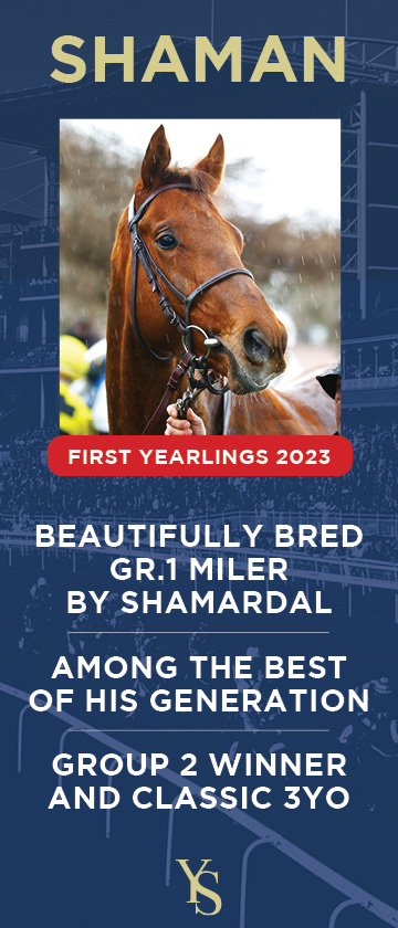 SHAMAN | Thoroughbred Stallion Guide