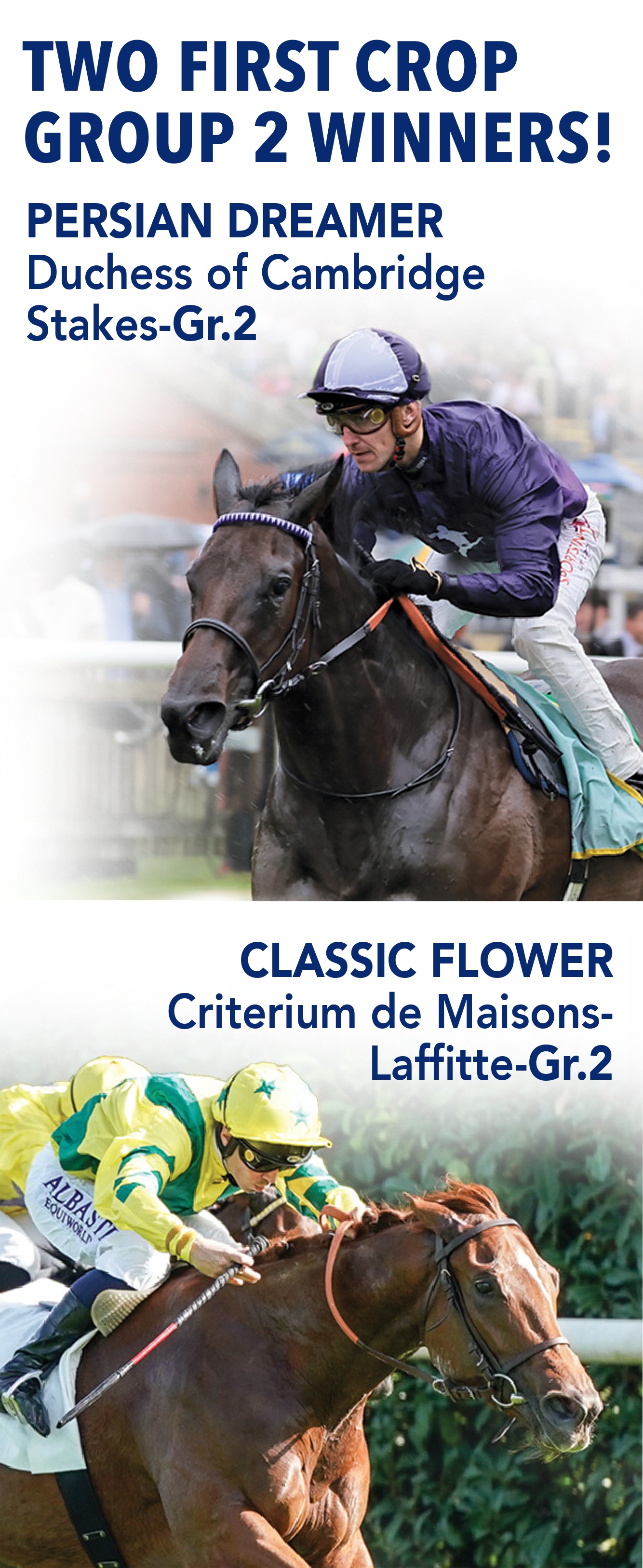 CALYX | Thoroughbred Stallion Guide